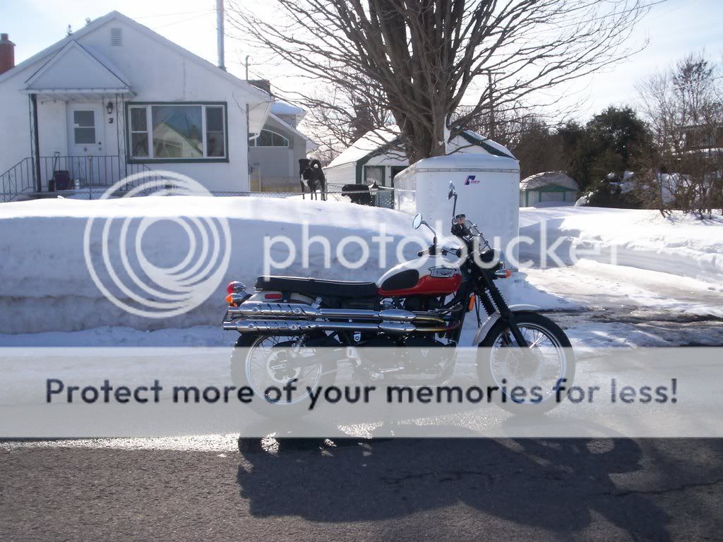 Scrambler pics | Page 4 | Triumph Rat Motorcycle Forums