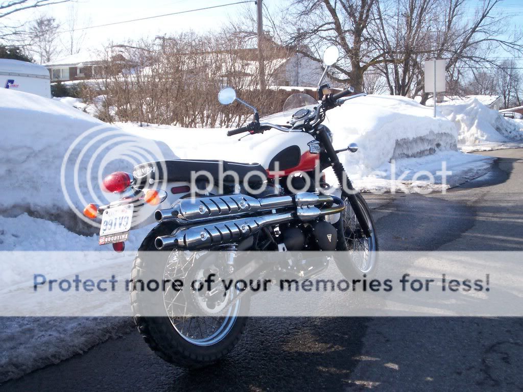 Scrambler pics | Page 4 | Triumph Rat Motorcycle Forums