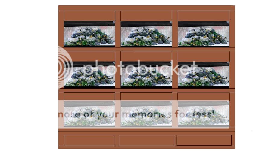 large multi-level aquarium display unit | MonsterFishKeepers.com