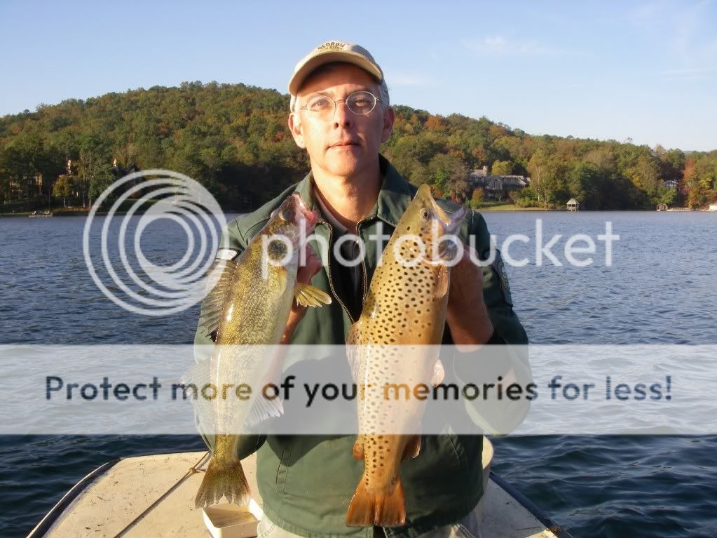 Rabun Walleyes...yummy | GON Forum