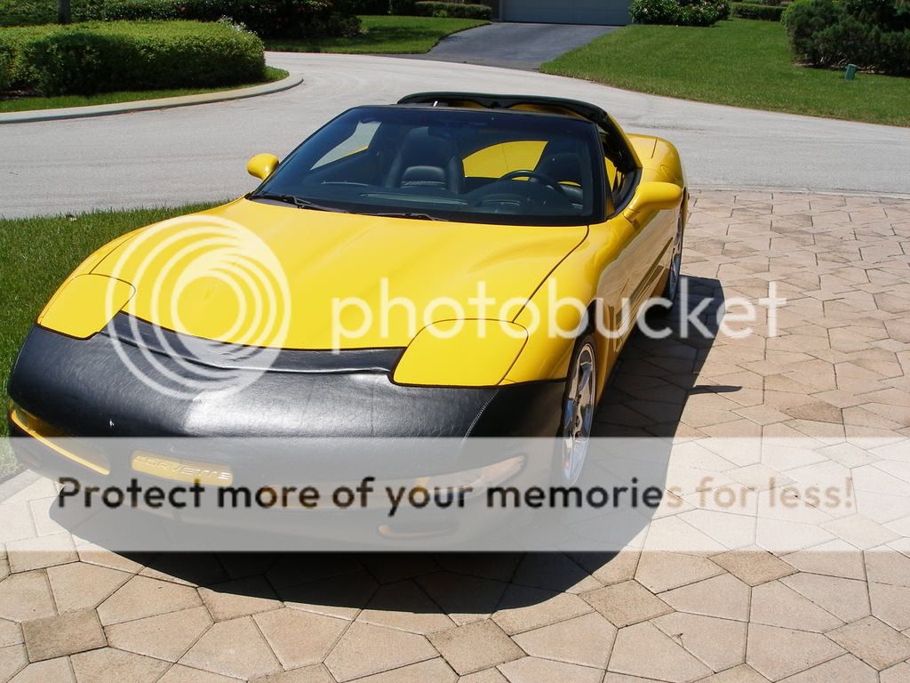 GM Bra in the rain? - CorvetteForum - Chevrolet Corvette Forum Discussion